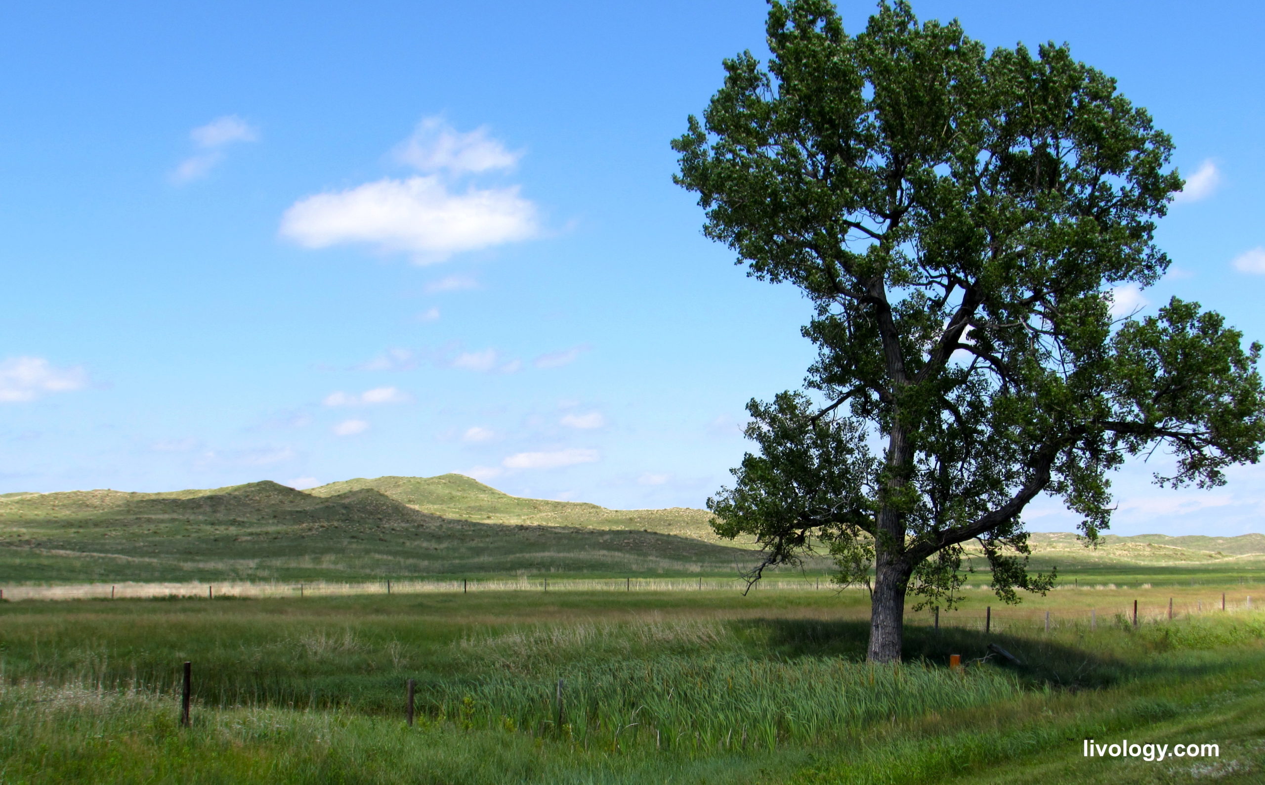 It's All in The Details: The Nebraska Sandhills - Livology