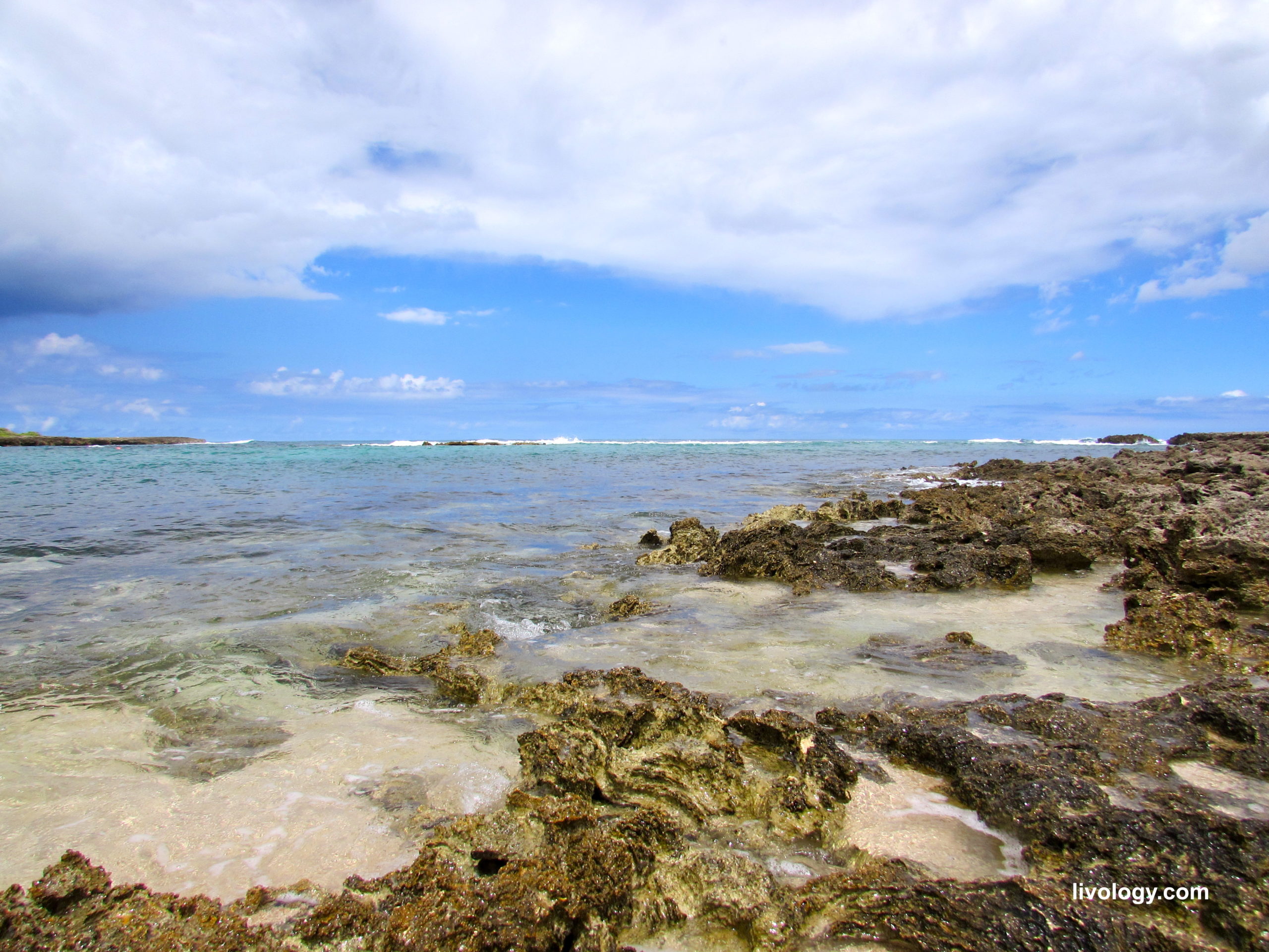 Hawaiian Wayfinders: Heading in a New Direction - Livology