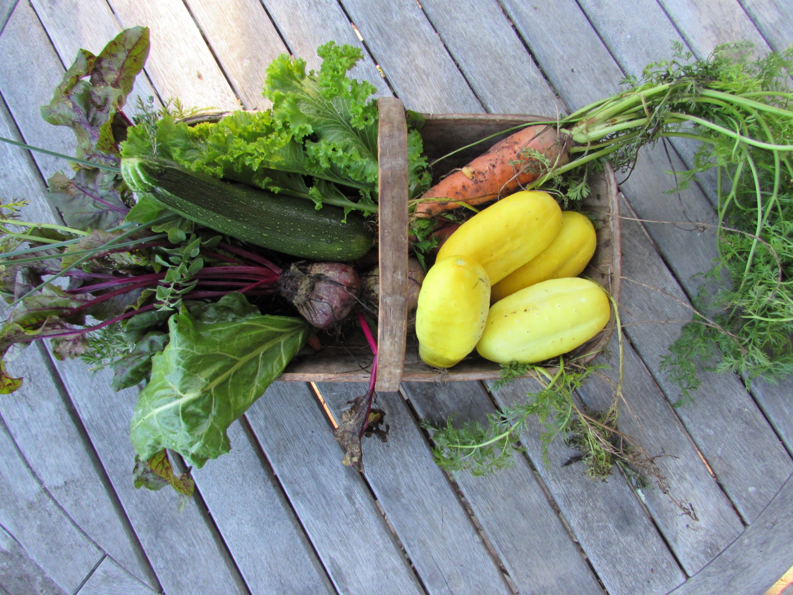 Photographic Journal of Life on an Organic Farm - Livology
